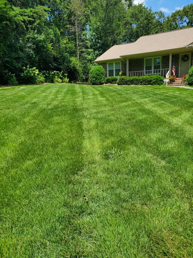 Latest Projects | Classic Gardens & Landscape, Inc. Photo Gallery